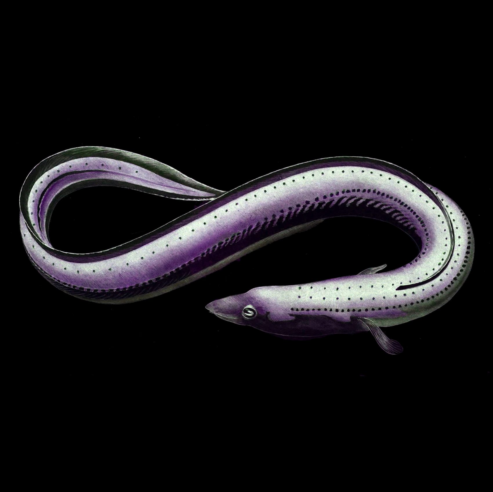 Calendar - Embassy of the North Sea